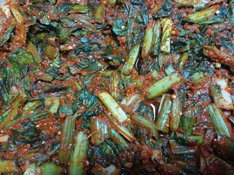 배추 갓 파김치 했어요 뉴스트림