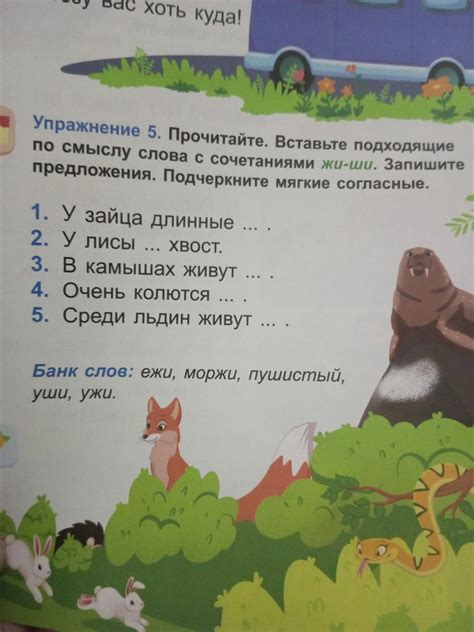 1 У зайца длинные 2 У лисы хвост 3 В камышах живут 4 Очень колются 5 Среди