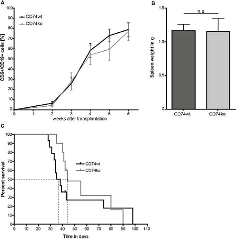 Figure 18 From Function Of The Cd74 Receptor In B Cell Pro Survival
