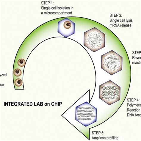 Steps To Integrate In A Device For Single Cell Transcriptome Profiling