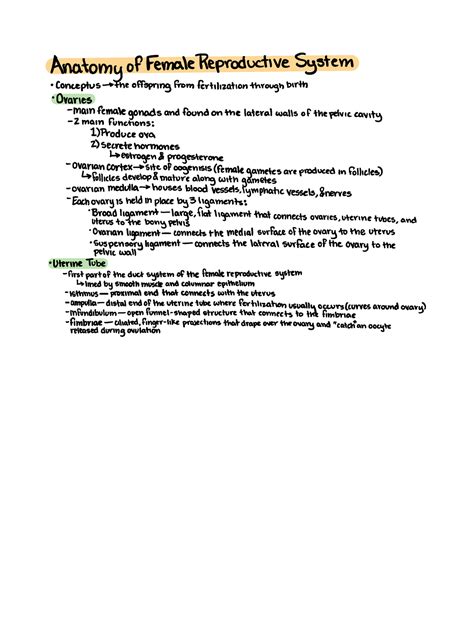Female Reproductive Notes Anatomy Of Femalereproductive System