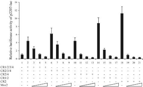 Figure 1 From Physical Dissection Of The CCAAT Enhancer Binding Protein