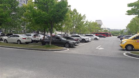 대전 둔산대공원 주차장 유료화로 주차난 개선