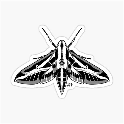 Banded Sphinx Moth Sticker For Sale By 777mothic Redbubble