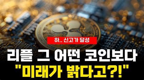 리플코인 그 어떤 코인보다 미래가 밝은 이유 Youtube