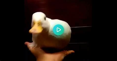 The Only Thing You Need Right Now Album On Imgur