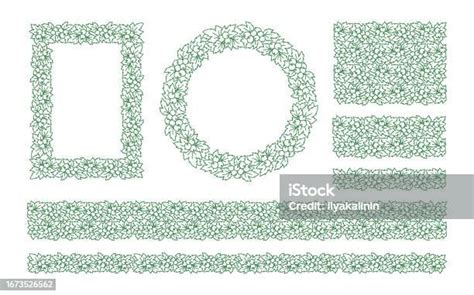 Ribes Line Pattern Ornament Set Flourish Background Design Element Kit