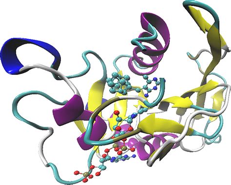 Crystal Structure Of Human Dihydrofolate Reductase In Complex With