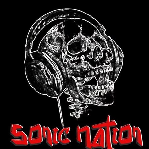 Sonic Nation Musician In Tampa Fl