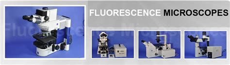 Fluorescence Microscopes