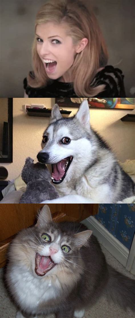 You Know What To Do Imgur Imgur You Know What To Do Imgur Imgur
