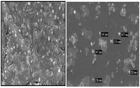 Sem Of Silver Nanoparticles Download Scientific Diagram