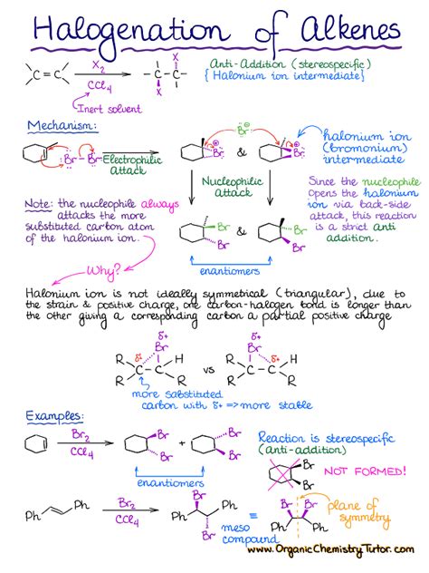 Aromatic Compounds Study Guide Cheat Sheet Artofit