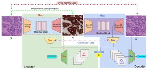 Figure 3 From Gan Based Virtual Re Staining A Promising Solution For Whole Slide Image Analysis