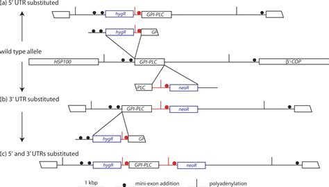 A Novel Strategy To Identify The Location Of Necessary And Sufficient