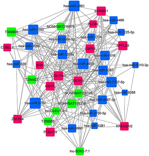 Long Noncoding RNA Expression Analysis Reveals The Regulatory Effects IJN