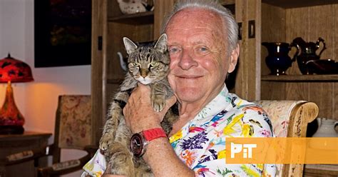 Anthony Hopkins Adora Gatos E Até Em Marrocos Promove A Adoção De