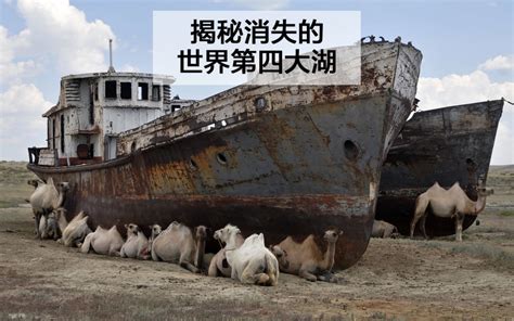揭秘世界第四大湖咸海的消失之谜 地图侦探 地图侦探 哔哩哔哩视频