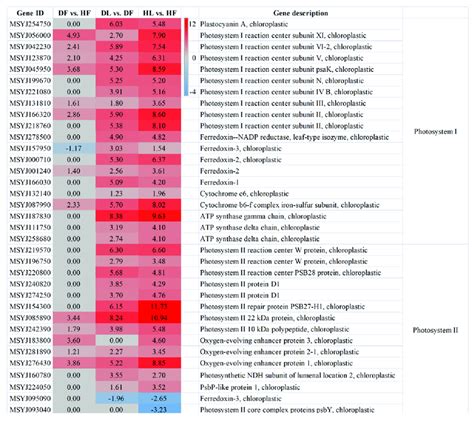Log Fold Change Cluster Diagram Of The Differentially Expressed Genes Download Scientific