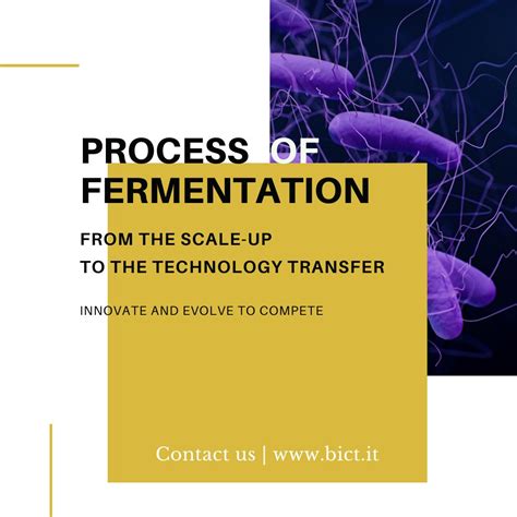 Biotechnology Fermentationprocess Improveyourbusiness