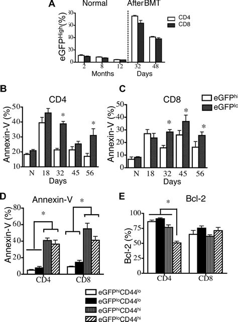 Recent Thymic Emigrants And Cd44 Lo T Cells Are Less Sensitive To