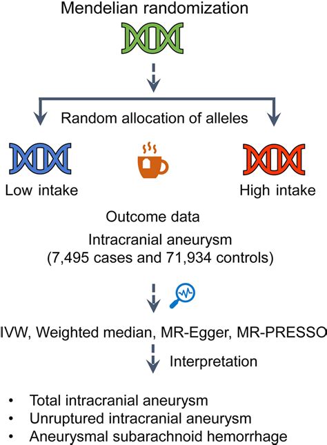 Study Design And Data Sources Used In The Present Study IVW Inverse