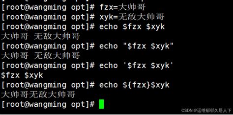 shell的变量与赋值 shell 变量赋值 csdn博客