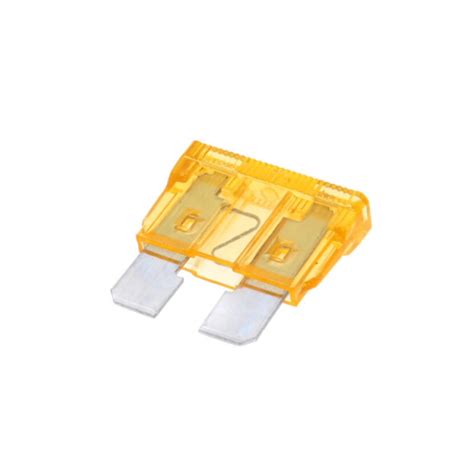 5 Amp Control Fuse