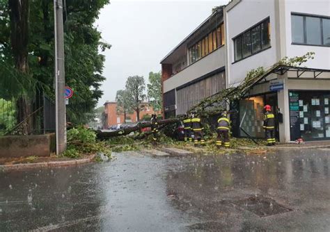 Violento Nubifragio A Sud Di Varese Strade Allagate E Alberi Caduti