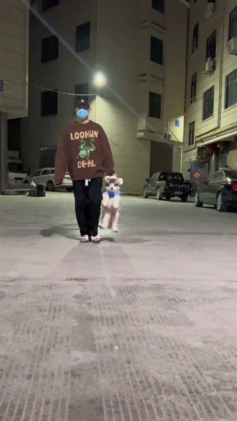 盧卡有團團 謝謝你 我那不掃興的小狗！ 阿拉斯加狗狗狗小狗狗狗日常狗狗日記可愛萌寵萌寵日常狗狗攝影動物的迷惑行為