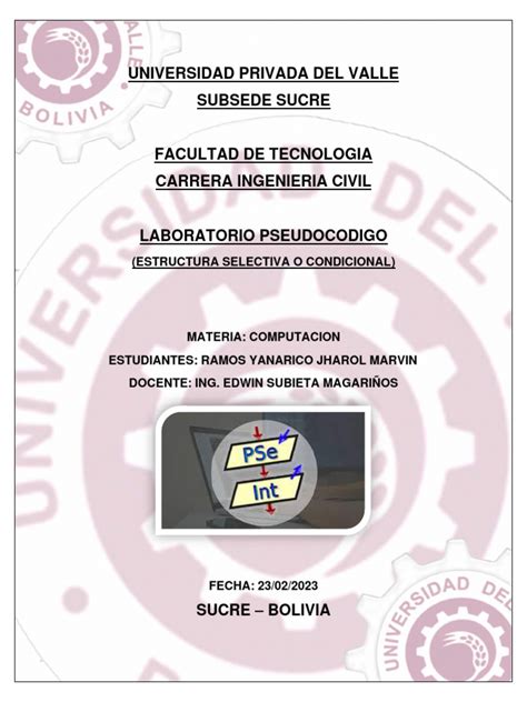 Pseint Practica N°2 Pdf Algoritmos Programación De Computadoras