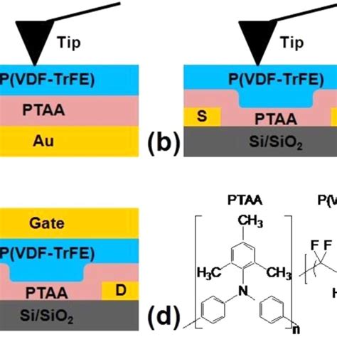 Schematic Drawing Of The State Of A Fefet At Different Stages Of Its Download Scientific