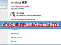 Win11 bat文件打不开怎么办 Win11 bat文件打开一闪就没了解决方法 windows11 Windows系列 操作系统 脚本之家