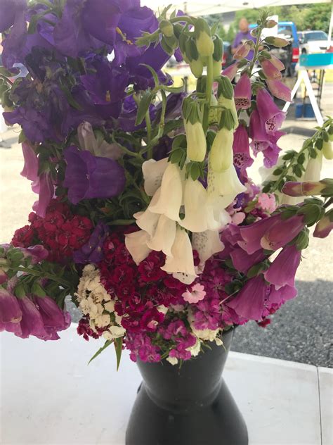 Need Help Identifying These Flowers Rwhatisthis
