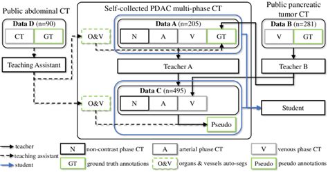 The Proposed Learning Framework For Pancreatic Ductal Adenocarcinoma