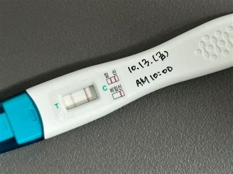 임테기 두 줄 확인 후 주수 예상하는 방법진하기 비교 피검사 수치 네이버 블로그
