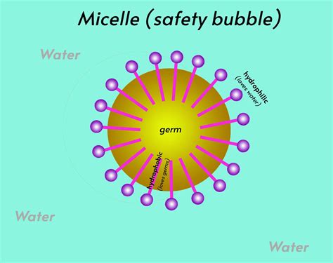 Soap Micelle