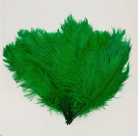 Ostrich Tails 16 18 Inch 30 Pc Kelly By Zucker