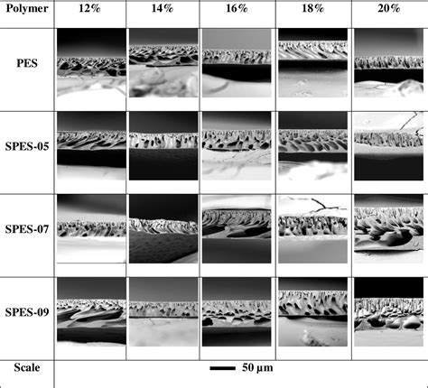 Figure 1 From Sulfonated Polyethersulfone As A New Platform For Thin
