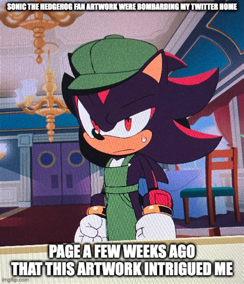 Shadow The Hedgehog As A Server Imgflip