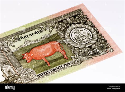 50 Nepalese Rupee Bank Note Nepalese Rupee Is The National Currency Of
