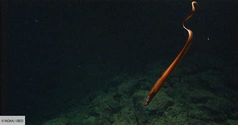 Jean Baptiste Gault On Linkedin Minage En Eau Profonde La Pollution