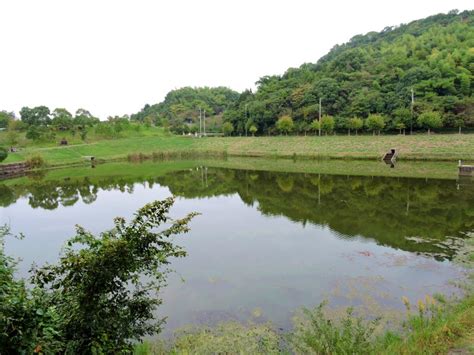 Gaunsai
