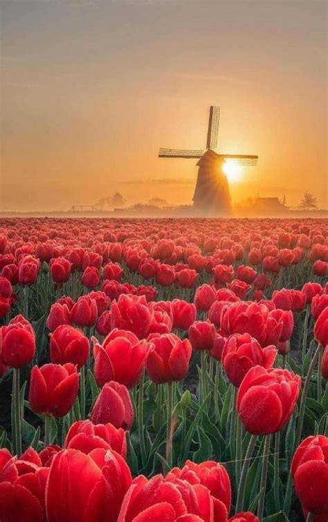 FrasesDeAmor on Twitter Buenos días Feliz Jueves Hoy puede ser el