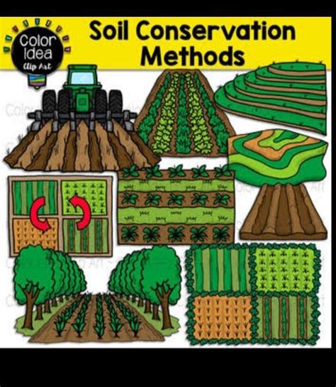 Write The Names Of Different Soil Conservation Method Brainly In