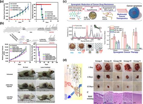 Graphene Based Material For Phototherapy A PEG NGO For PTT 84