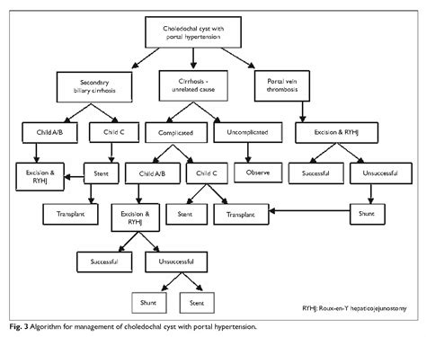 Figure 3 From Management Of Choledochal Cyst With Portal Hypertension