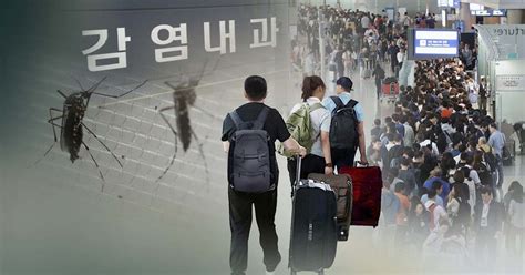 올해 첫 전북 지역 뎅기열 확진 해외 여행 풀숲 주의