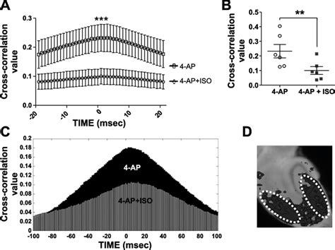 Adrenergic Modulation Of Interregional Synchrony A Average