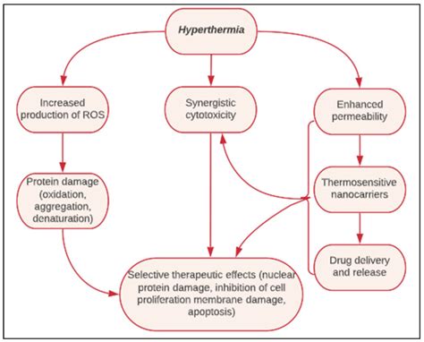 Thermosensitive Polymers And Thermo Responsive Liposomal Drug Delivery